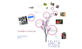 Delis Kaplan Executive Function System (D-KEFS) by Hannah Patterson on ...