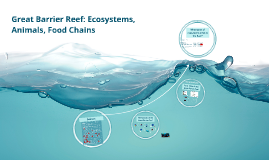 Great Barrier Reef: Animals, Ecosystems, Food Chains by Emilie Scott on ...