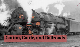 Cotton, Cattle, and railroads by Morgan MAGK on Prezi