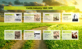 Cattle Industry 1860-1890 by on Prezi