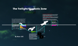 The Twilight/Disphotic Zone ecosystem by alana eri on Prezi