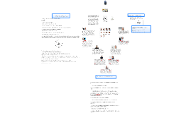 Apple Inc. Organizational Structure by pelangi mewangi on Prezi