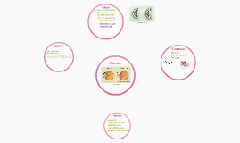 "Neat People vs. Sloppy People" by Suzanne Britt by Jenna Haverkamp on ...