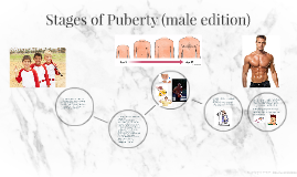 Stages of Puberty (male edition) by maty sambe on Prezi