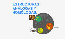 Estructuras análogas & homologas by Sara lucia acosta on Prezi