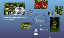 Interdependent Relationships in the Rainforest. by pehrson timmons on Prezi