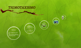 TIGMOTAXISMO by Nicolas EH on Prezi