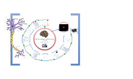 BIID (Body Integrity Identity Disorder) by Sean Moore on Prezi