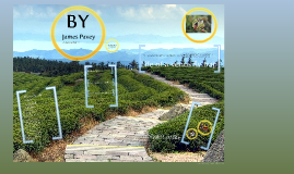 Life cycle of a venus fly trap by Some One on Prezi