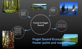 Tutsi King Ruganzu Ndori takes over central Rwanda and the o by ...