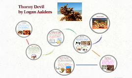 Thorny Devil by Thorny Devil on Prezi