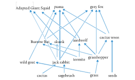 Connor Morgan on Prezi