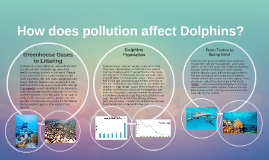 How does pollution affect Dolphins? by robby tenorio on Prezi