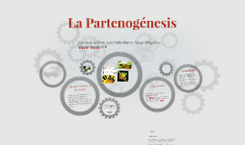 La Partenogénesis by Juan José Apolinar Romero on Prezi