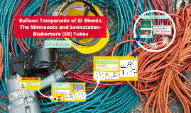 Minnesota Tube by Christopher Neil on Prezi