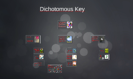 SBI3U Dichotomous Key Assignment by Tom Jeoung on Prezi