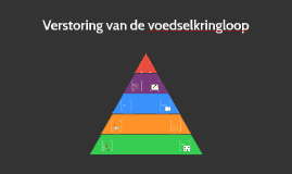 Verstoring van de voedselkringloop by Nicole van der Burg on Prezi