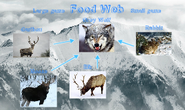 Grey Wolf food web by cameron schlueter on Prezi