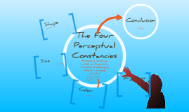 The Four Perceptual Constancies by Paige Ferland on Prezi