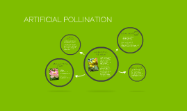 ARTIFICIAL POLLINATION by natalie slade on Prezi