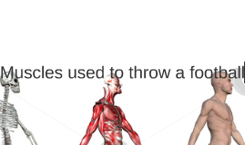 Biomechanics of throwing a football by Vanessa Hofmann on Prezi