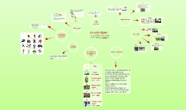 ECOSYSTEMS- Australian food chains and food webs by Thomas Hartshorn on ...