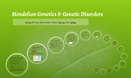 Mendelian Genetics & Genetic Disorders by Rachel Sullivant on Prezi