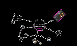 Neuro Stem Cell Regeneration by Cody DeNapoli on Prezi