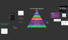 Microskill Hierarchy - Ivey, Ivey, Zalaquett 2014 by Alec Hamilton on Prezi