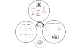 Paul B. Baltes. by carlos lopez on Prezi