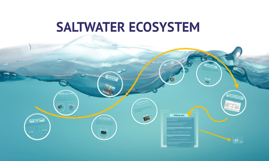 SALTWATER ECOSYSTEM by Nezzy Balbissi on Prezi