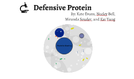 Defensive Protein by Kat Yung on Prezi