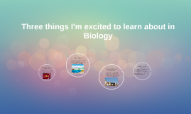 Four Different Types of Phoenix by Autumn Hicks on Prezi