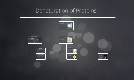 Denaturation of a Protein Experiment by Brianna Thacker on Prezi