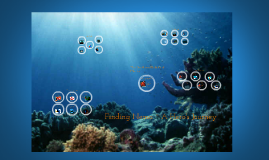 Finding Nemo ~ A Hero's Journey by on Prezi
