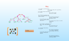 Classification Diagram and a Dichotomous Key of Birds by Sadie Denker ...
