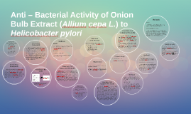 Anti – Bacterial Activity of Onion Bulb Extract (Allium cepa by Sashney ...