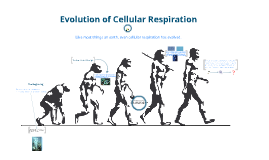 Evolution of Cellular Respiration by erin bentley on Prezi