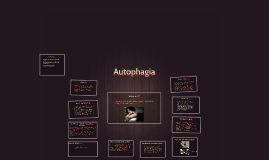 Autophagia by Madison Allen on Prezi