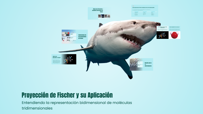 Proyección de Fischer y su Aplicación by Jhon Escobar on Prezi