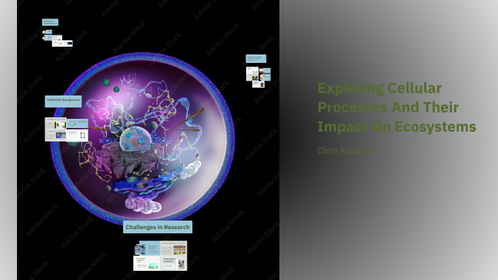 Exploring Cellular Processes in Ecosystems by Chris Klaamas on Prezi