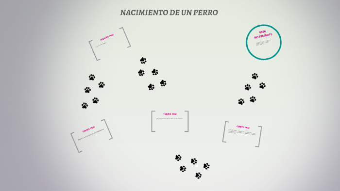 NACIMIENTO DE UN PERRO by Carlota Villalba on Prezi