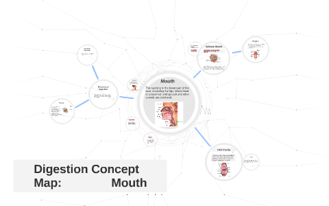 Digestion Concept Map by Beth Tekley on Prezi