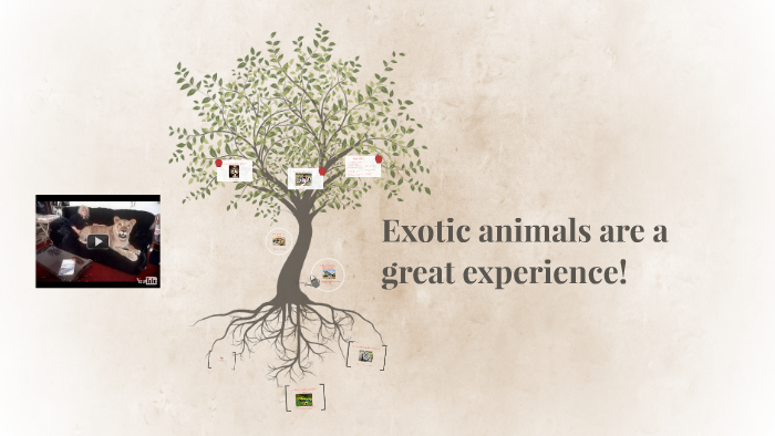 Exotic animals are a great experience! by Sam Sesi on Prezi