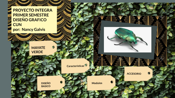 MAYATE VERDE by NANCY SOLANGELY GALVIS FERNÁNDEZ on Prezi