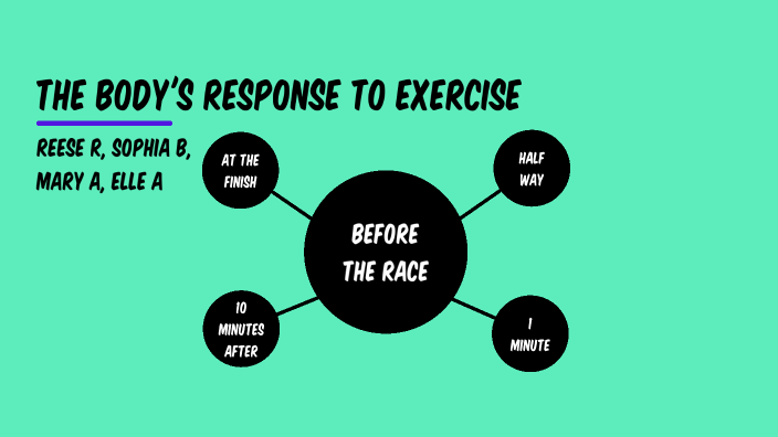 Bodys response to exercise by ELLE AALBU on Prezi