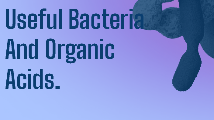 Useful Bacteria And Organic Acids by mia nanani on Prezi
