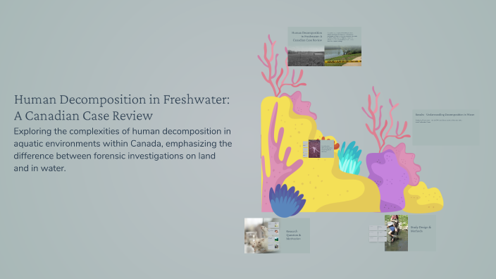 Human Decomposition in Freshwater: A Canadian Case Review by Arielle ...