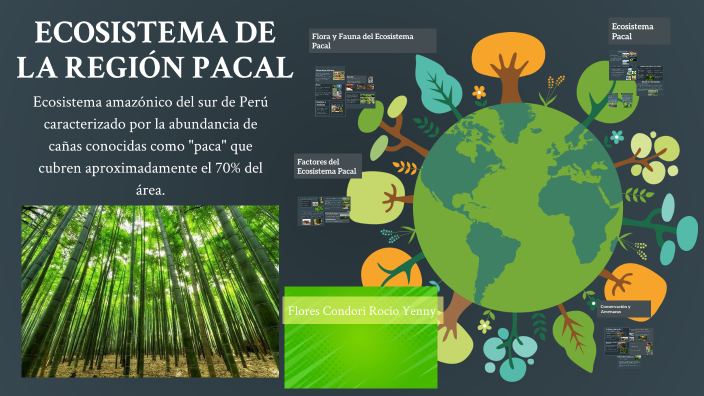 ECOSISTEMA PACAL by Rocio Flores on Prezi