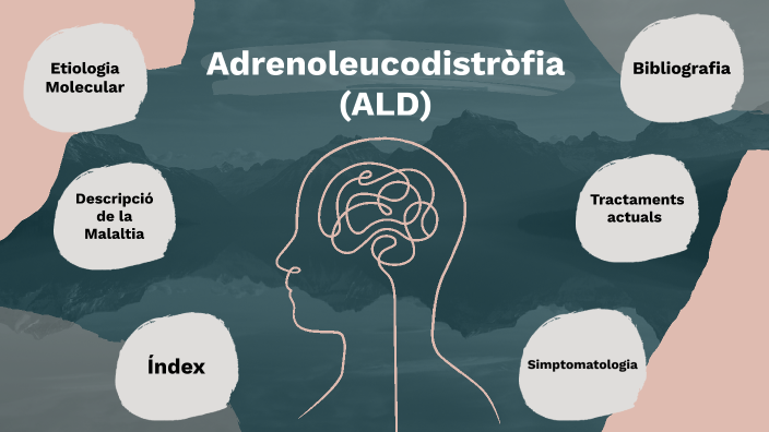 Adrenoleucodistròfia by manahil anis on Prezi